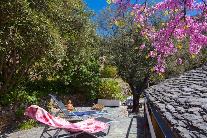 Appartements 8 Pers,auprès Maquis, Rivière Et Mer - Saint-Florent