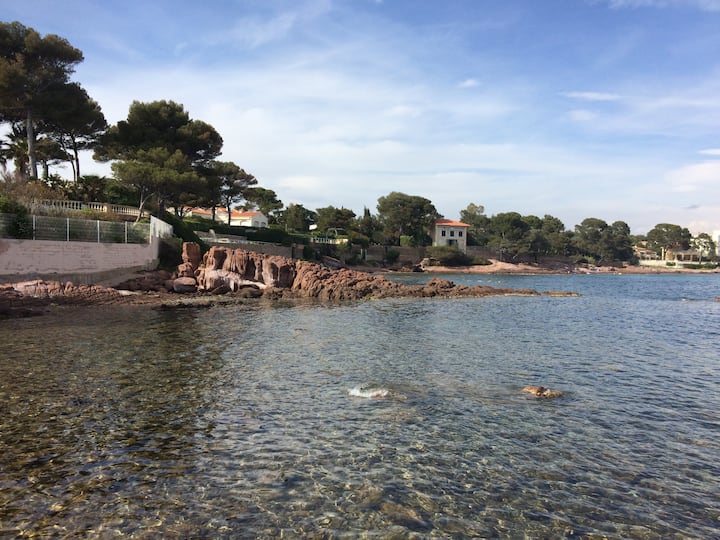 Studio Presque Pieds Dans L'eau - ibis budget Fréjus Capitou A8