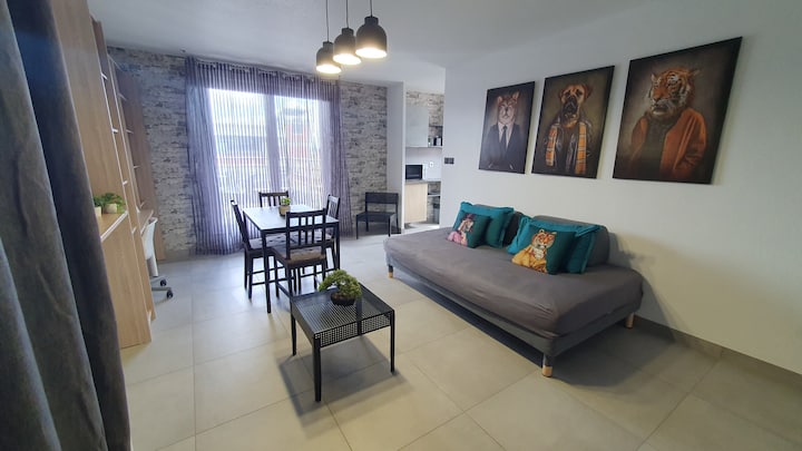 Ref F1 : Appartement Plus Parking ,  Proche Gare - Mulhouse