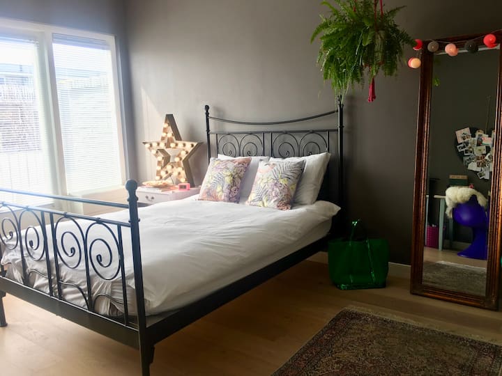 Cosy Room With Balcony - The Hague