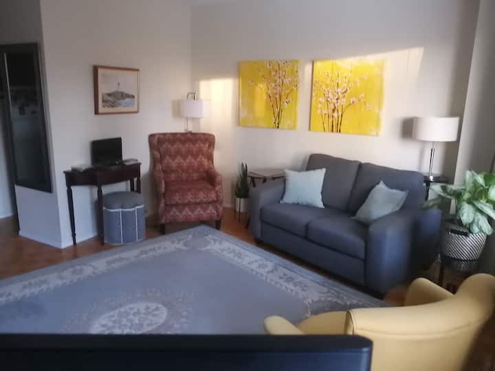 A Furnished Studio Apartment With A Murphy Bed. - Halifax
