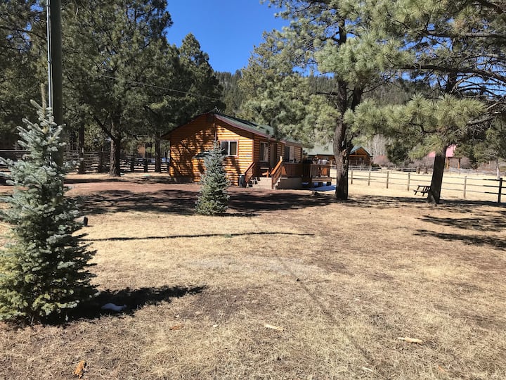 Greer Cabins | Resort and Cabin Rentals | Airbnb