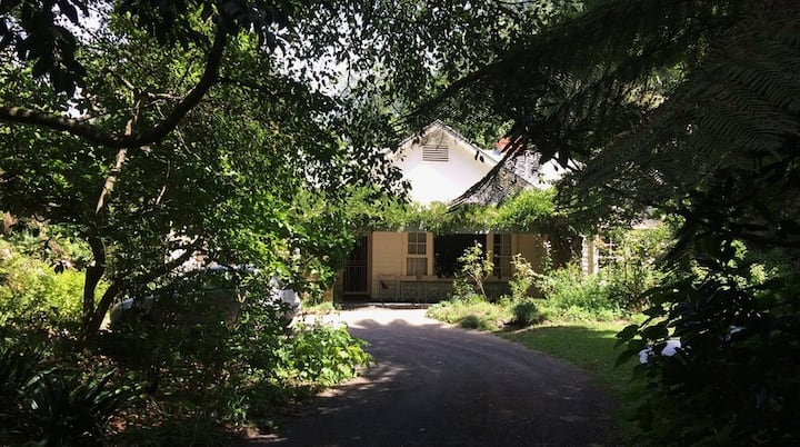 Eilean Donan Gardens Tarra Valley - Tarra-Bulga National Park