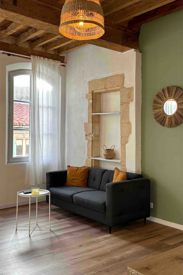 Appartement Centre Historique - Arlés