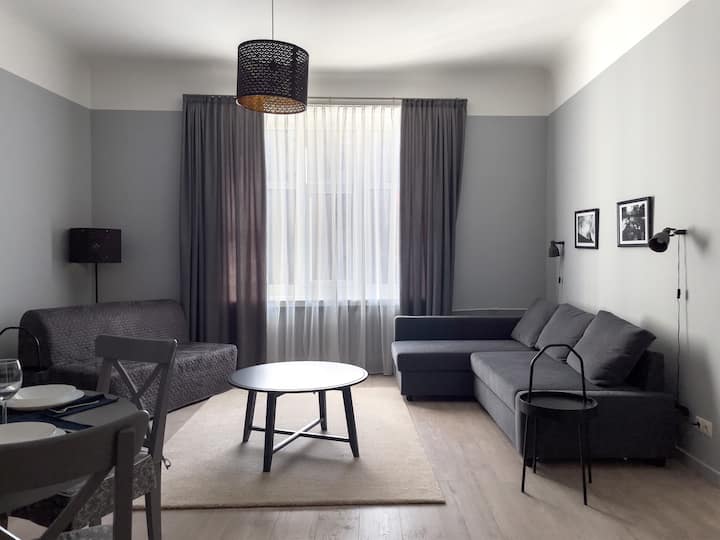 Monochrome 1-bedroom Apartment In Riga Old Town - Riga