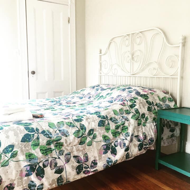 Private Room In Very Spacious Jp House.( Lilac Rm) - Boston, MA