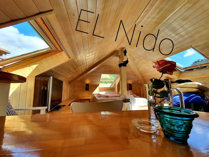 Zentralclub Apartamento El Nido "El ÑEru" - Somiedo