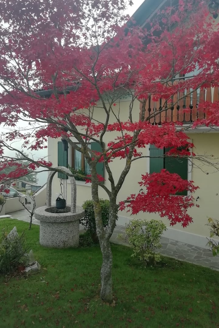 Villetta Di Montagna - Asiago