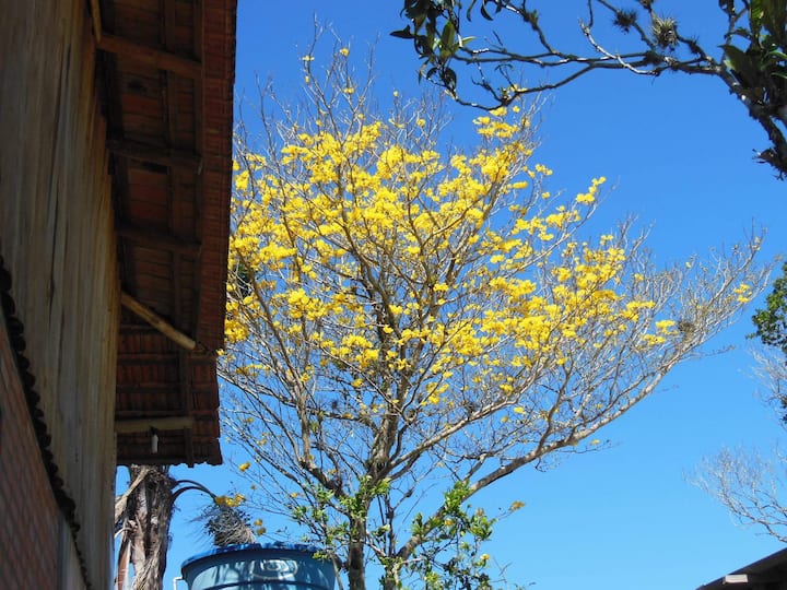 Jóia Surf Hostel Vila - Navegantes