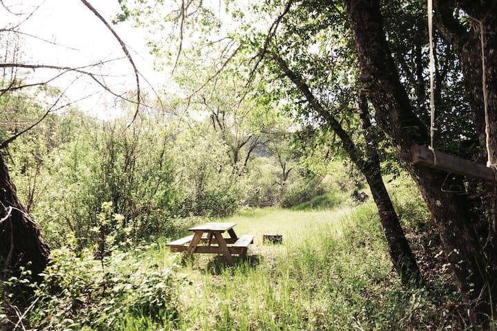 Loggers Group Camp Site At Mendocino Magic - California