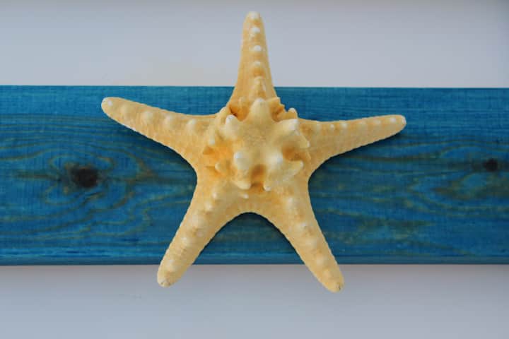 Stellamarina Descente Privée à La Mer - Procida