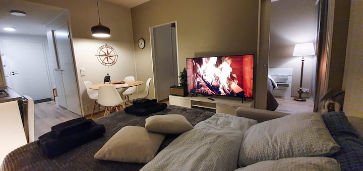 Frequent Traveller's Den With Sauna And Balcony - Rovaniemi