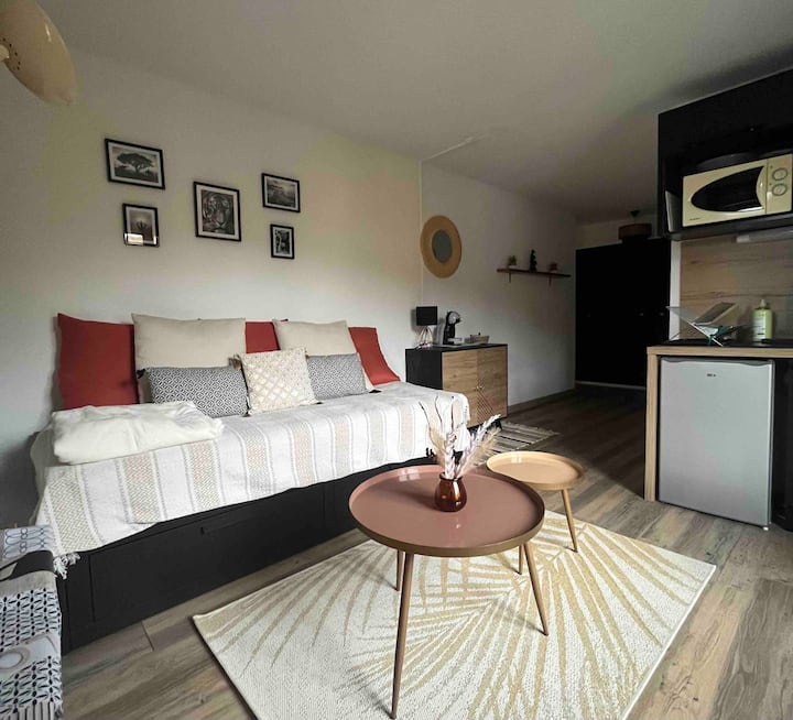 Appartement Station Risoul 1850 - Risoul