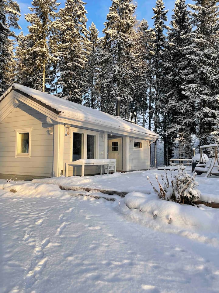 Mökki Ja Drop-allas Lisämaksusta (170€ Talvella) - Kanta-Häme