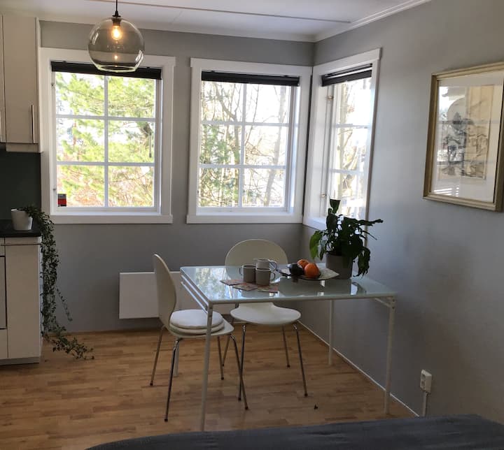 Modern And Cosy Studio Apartment - Noruega
