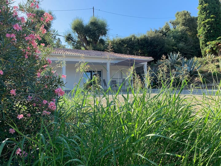 Castagniccia, Entre Mer Et Montagne - Corsica