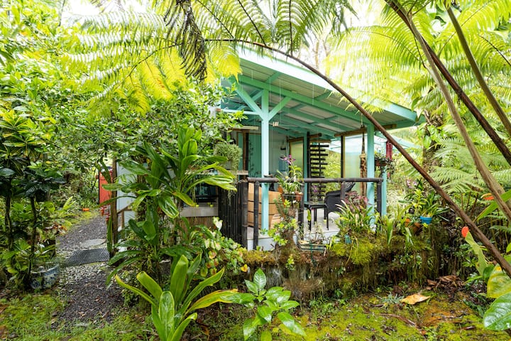Eco Hale Hawaii in the Rainforest Lots Of Aloha in Mountain View ...