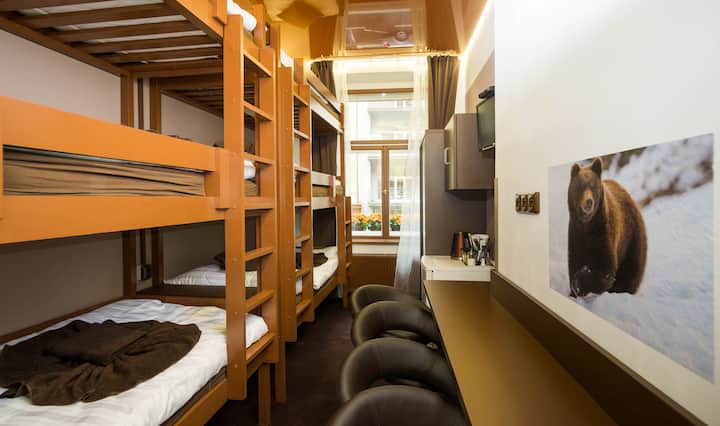 Private Brown Room In City Centre/air-condition - Prag