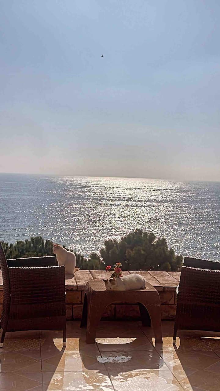 Denize Sıfır  Yunanistan Evleri - Silivri