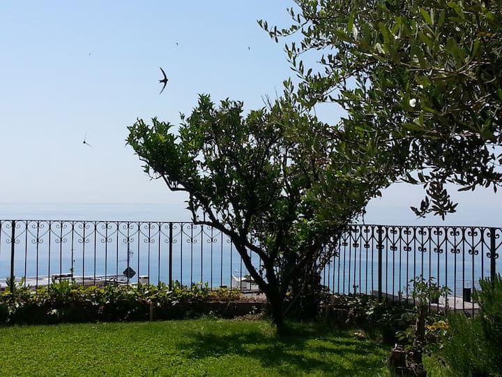 Big Private Garden With Sea View. - Finale Ligure