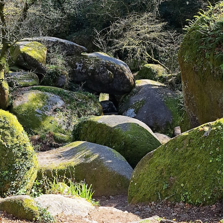 Grande Maison Au Coeur De La Bretagne - Huelgoat