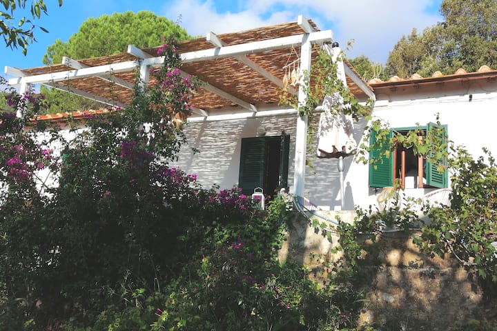 Charmantes Bauernhaus Am Monte Grosso, Elba - Rio