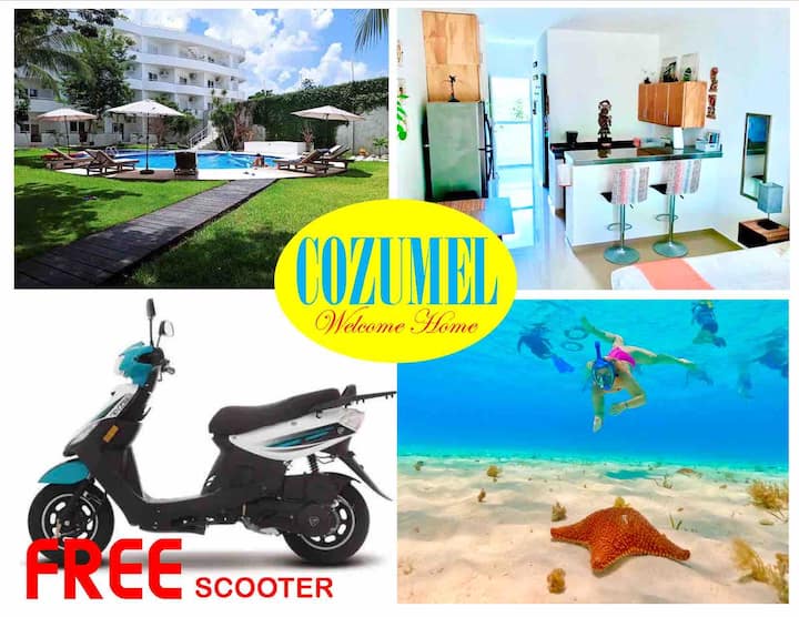 Relax In A Bohemian Vibe W/free Scooters! - Cozumel