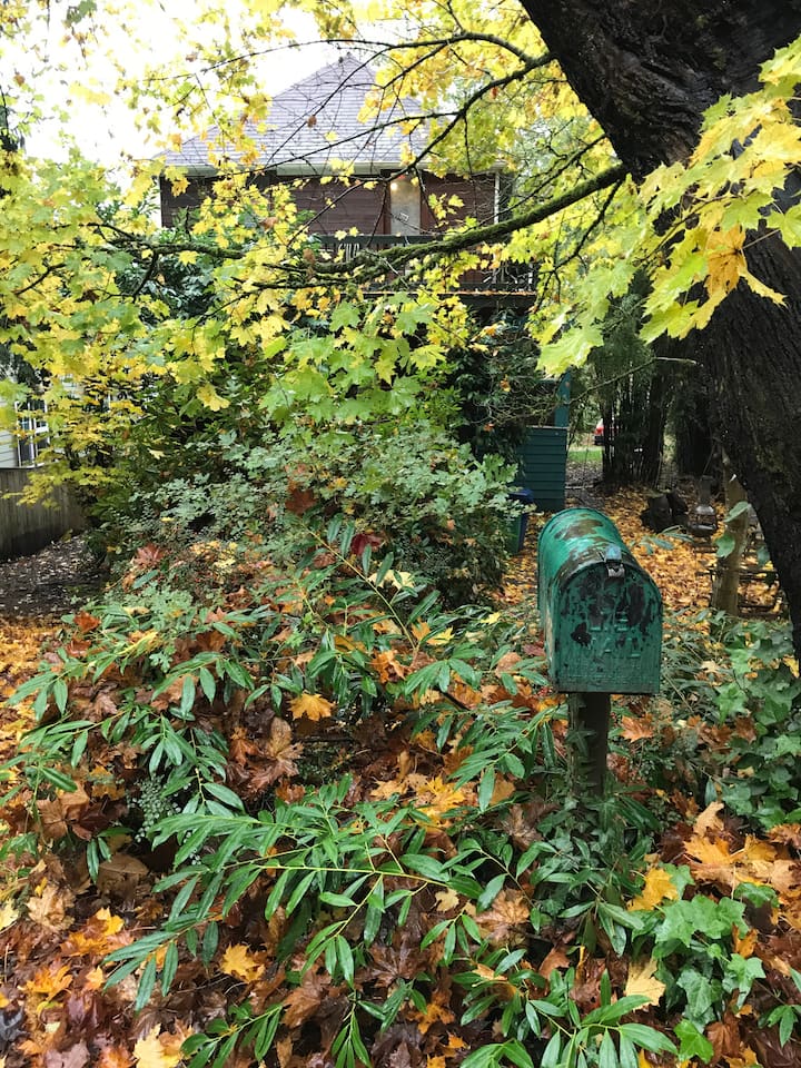 Magical Treehouse #2, Pvt Bath, Walk To Light Rail - Seattle, WA