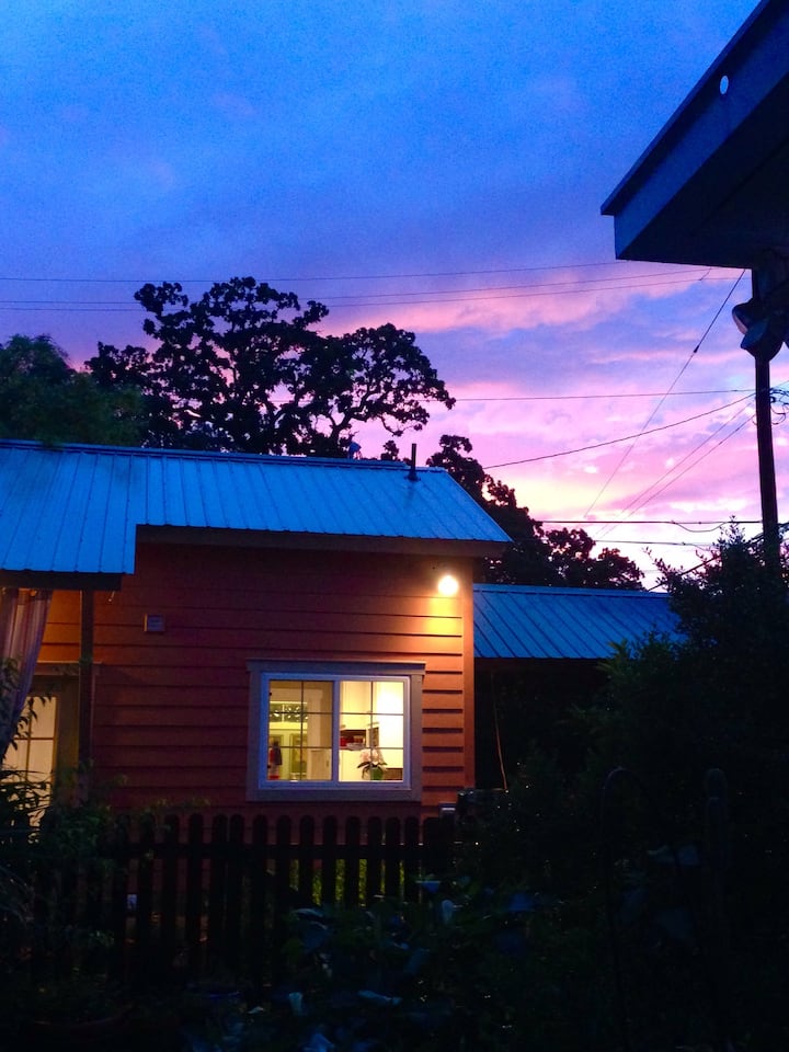 The Crow Cottage Near Ut & Downtown-most Walkable - Austin, TX