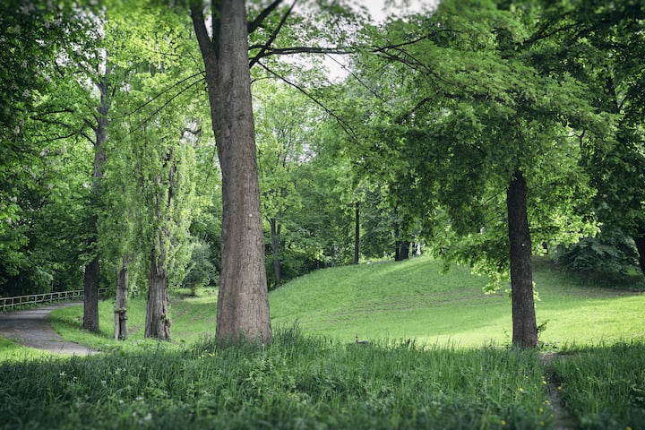 Ferienwohnung Am Bienertpark - Dresden