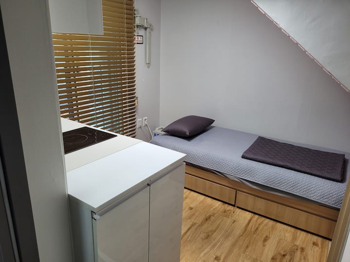 (9) Near To Skku, Snuh, Palaces - Seoul