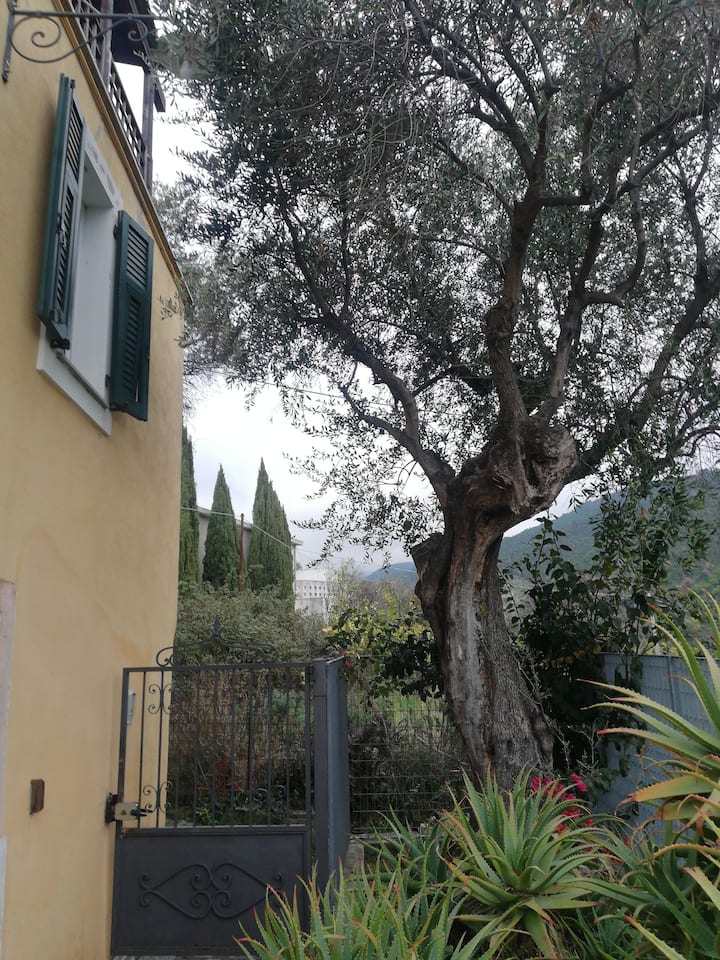 Carina E Tranquilla Camera Singola - Ventimiglia