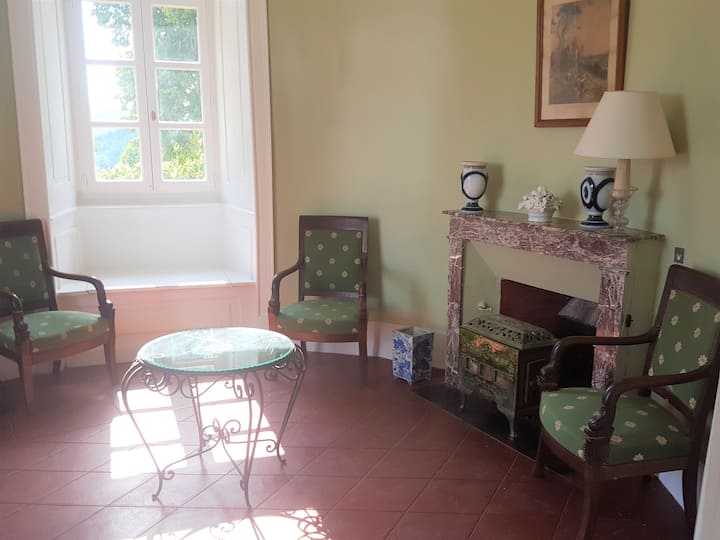 Gite Dans Château 18eme Près D'aurillac - Frankrike