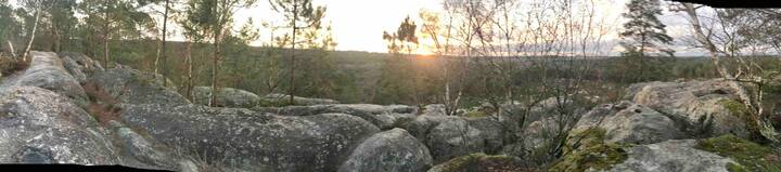 The Forest House - Milly-la-Forêt