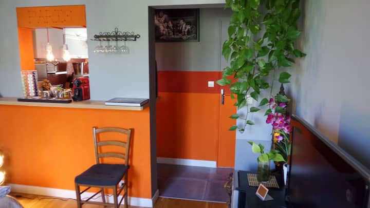 Superbe Vue Sur Canal St Martin - Francia