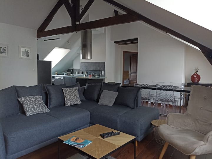 Pau Ravissant Appartement Dans L'hyper-centre - Pau