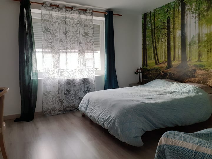 Chambre Tv-internet Avec Salle De Bain Wc Privée - Bruay-la-Buissière