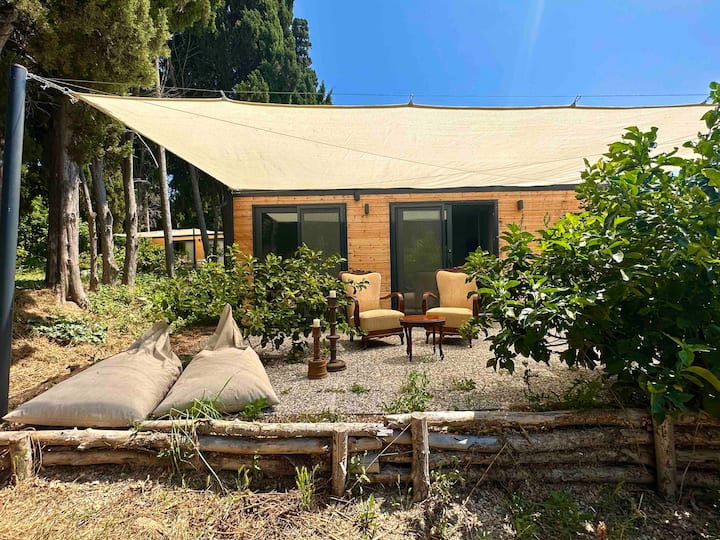 Zeytincik Tiny ÇEşme 4 - Çeşme