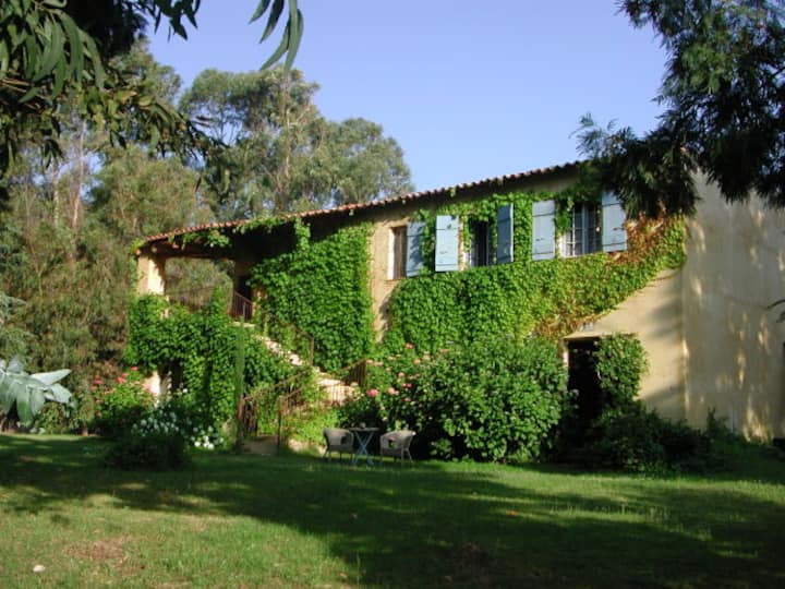 Au Sud De Calvi, Le Gite De Verdure - Calenzana