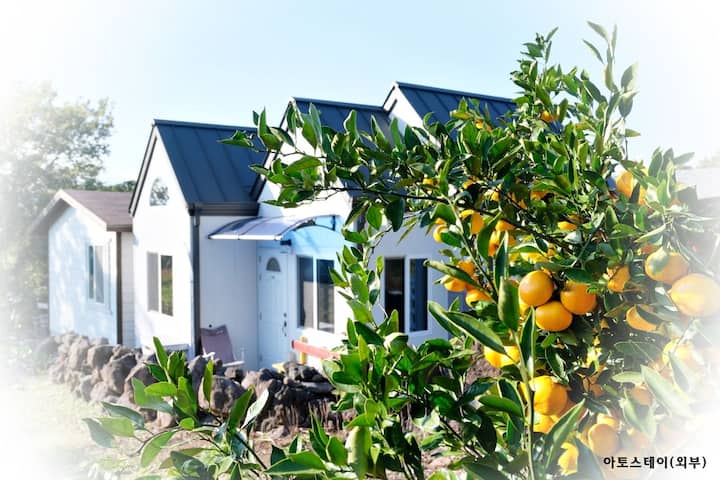 제주 중산간 귤밭속에 자리한 감성 스테이 - Jeju-si