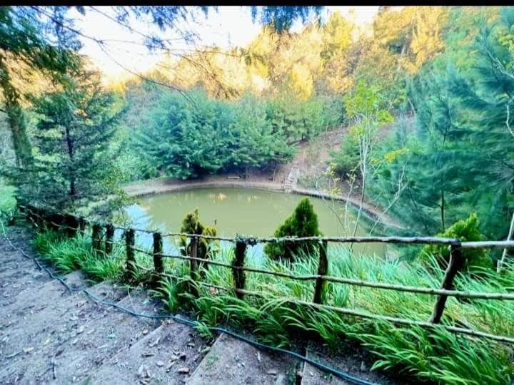Finca La Alborada - El Progreso