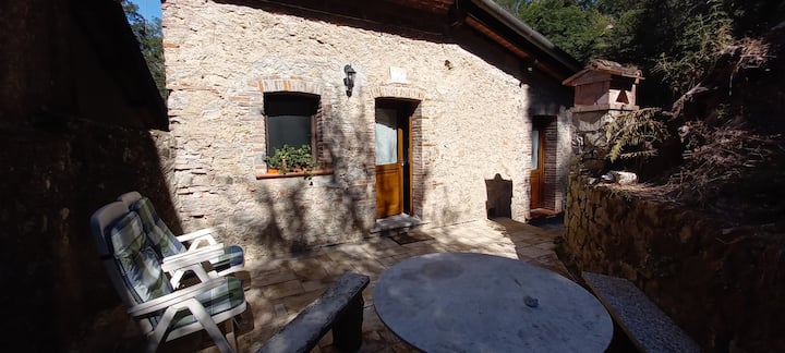 Cir: 046005ltn1820 - Camaiore