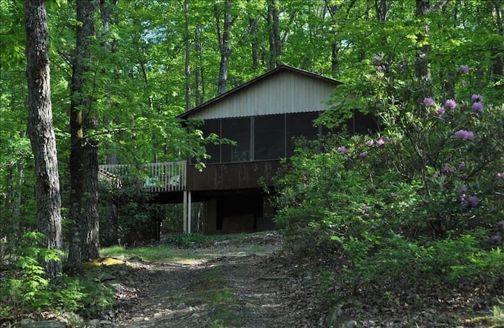Hanging Rock State Park- Rustic Cabin - Danbury, NC