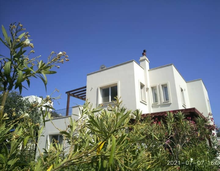 Summer  House ( Gümüşlük) 80 M2 - Gümüşlük