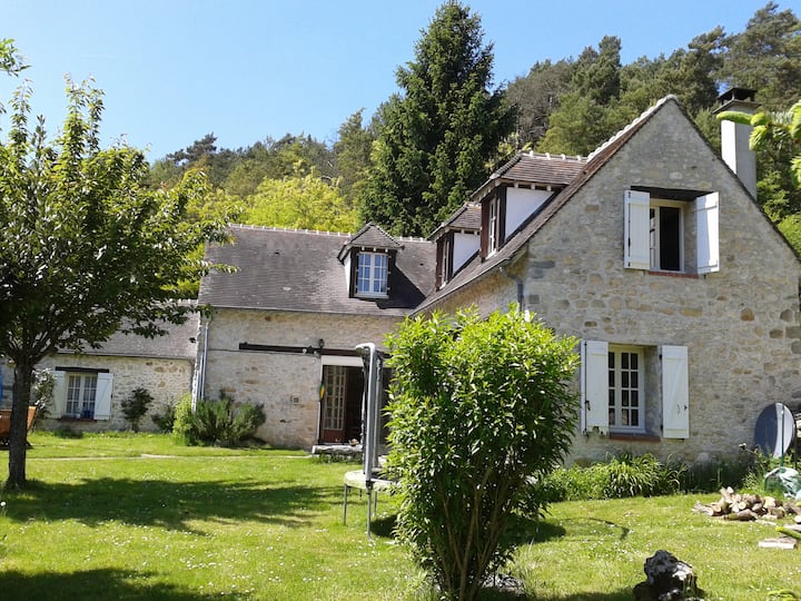 Une Grande Maison Dans La Forêt - Nemours