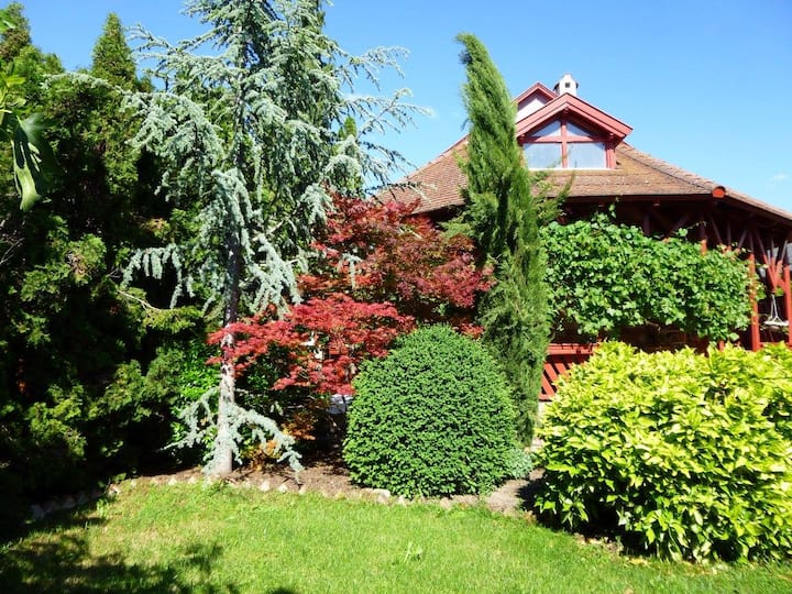 Mg Apartman Földszint - Balatonfenyves