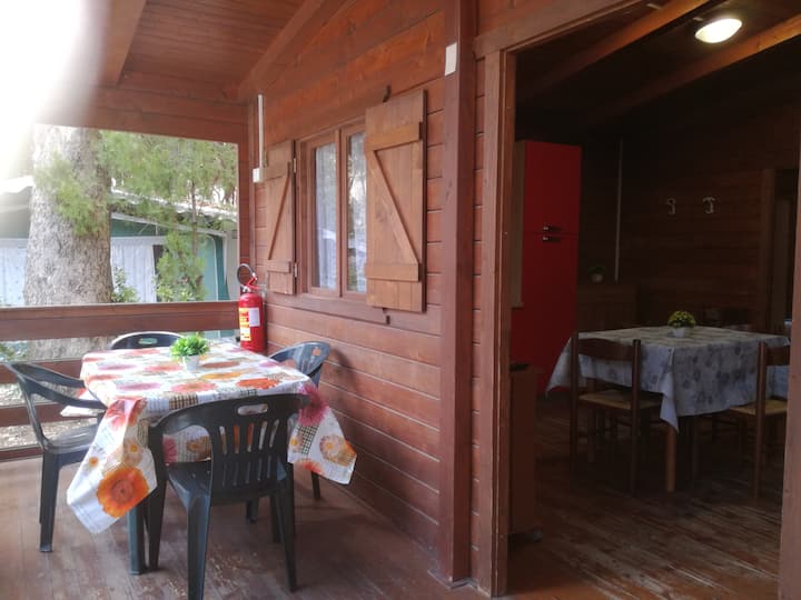 Bungalow Quadrilocale 6 Posti - Disabili - Marina di Massa