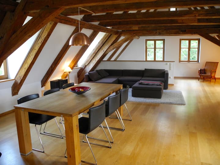 Lux. Guestsuite (135 Qm) In Best Part Of Old Town - Landshut
