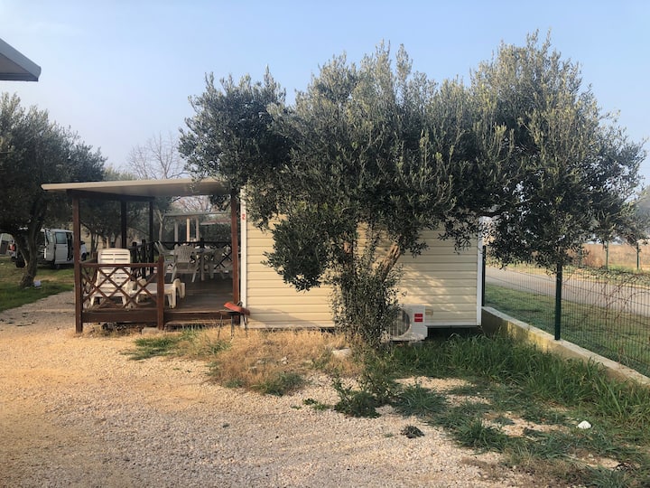 Mobile Home Camp Livada 5  Sv.filip I Jakov - Sveti Filip i Jakov
