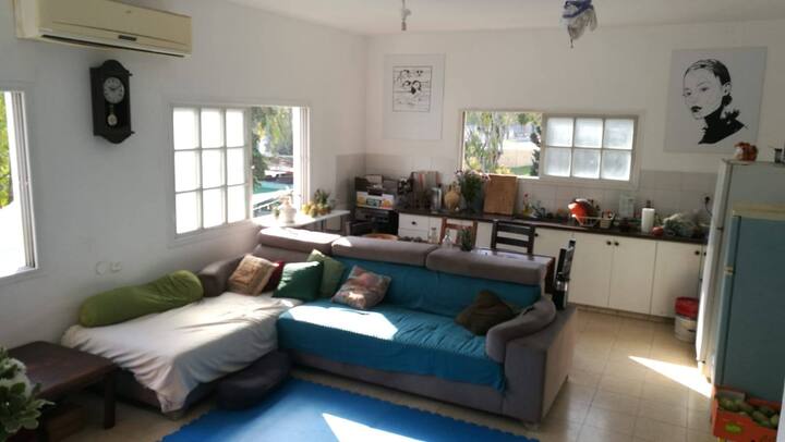 Rare Find -A House In Tel Aviv Surrounded By Trees - Telavive